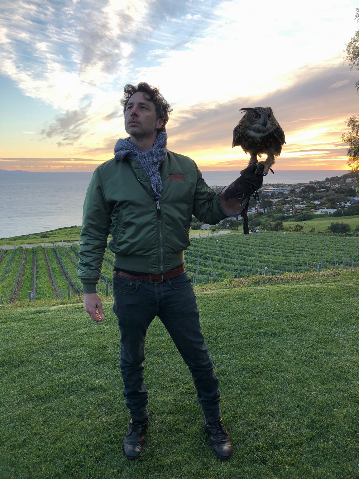 Archie the Trained Owl - Benay's Bird & Animal Rentals